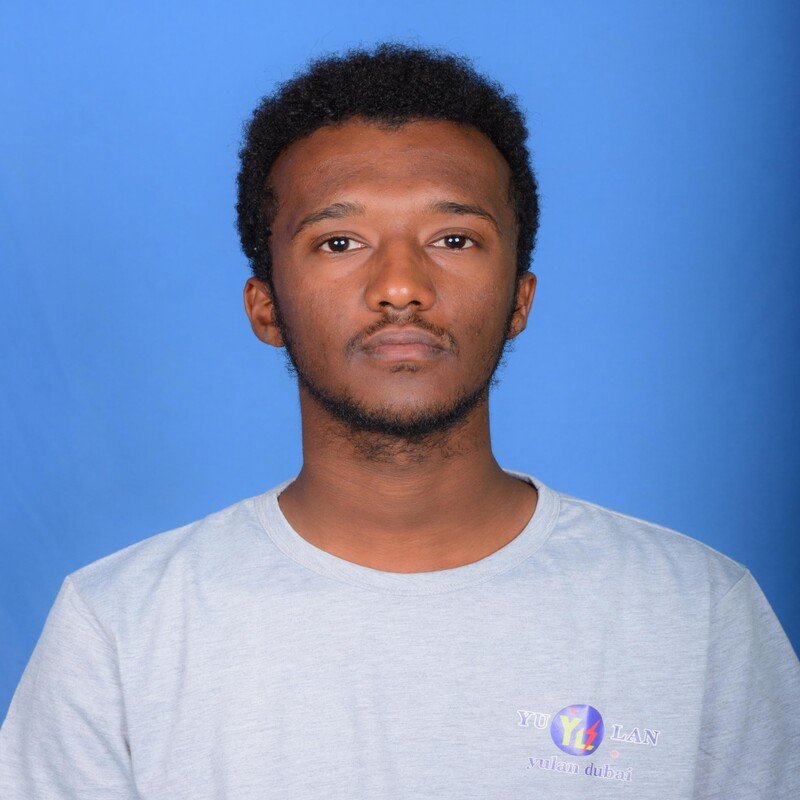 Ali Abdi | Software Engineer | Wayne State University